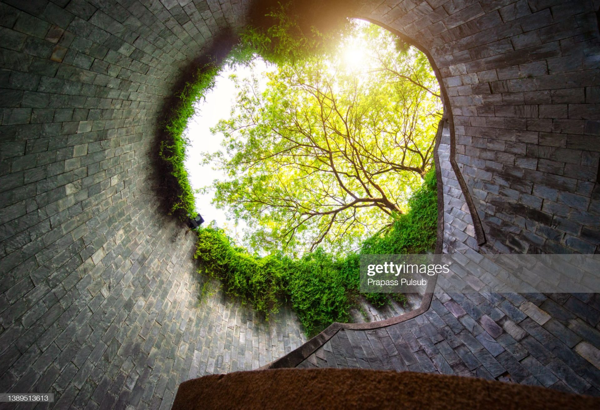 Team - Aquilius Investment Partners Pte Ltd